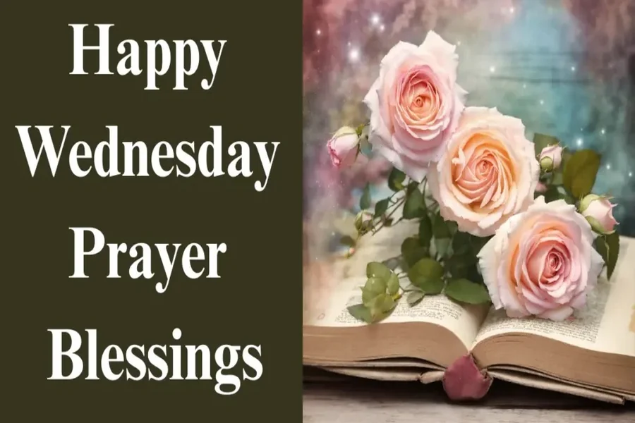 Happy Wednesday Blessings: Embrace the Midweek with Positivity