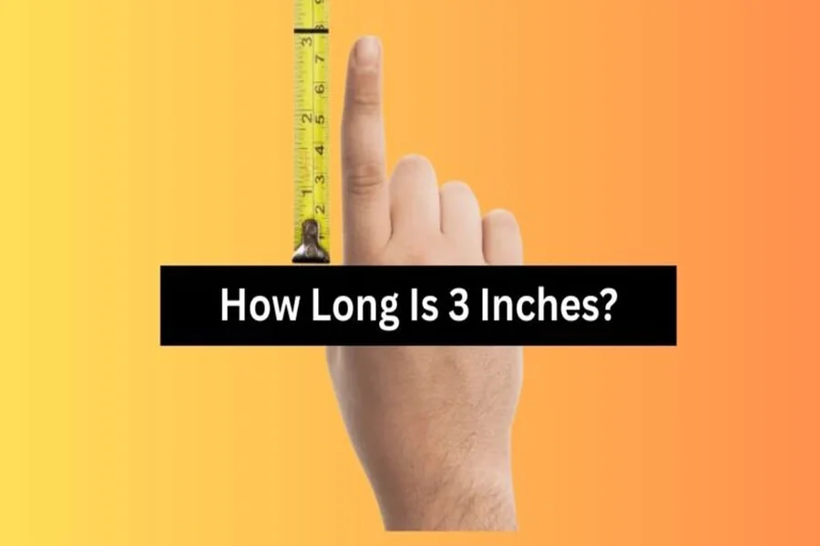 Understanding How Big is 3 Inches in Everyday Life