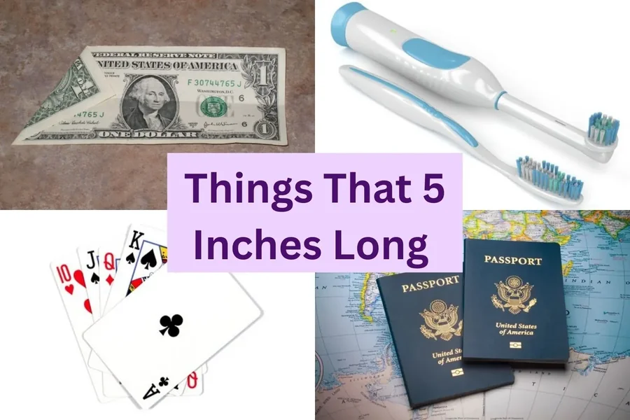 How Big is 5 Inches and Its Common Uses